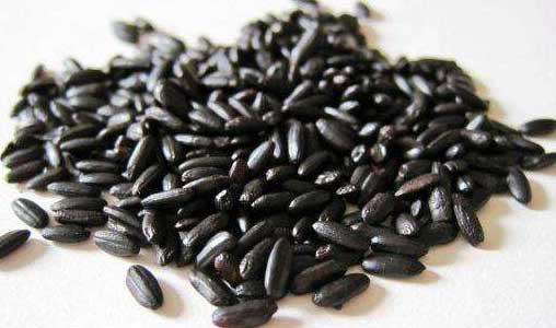 The effect and effect of black rice extract on the human body ...